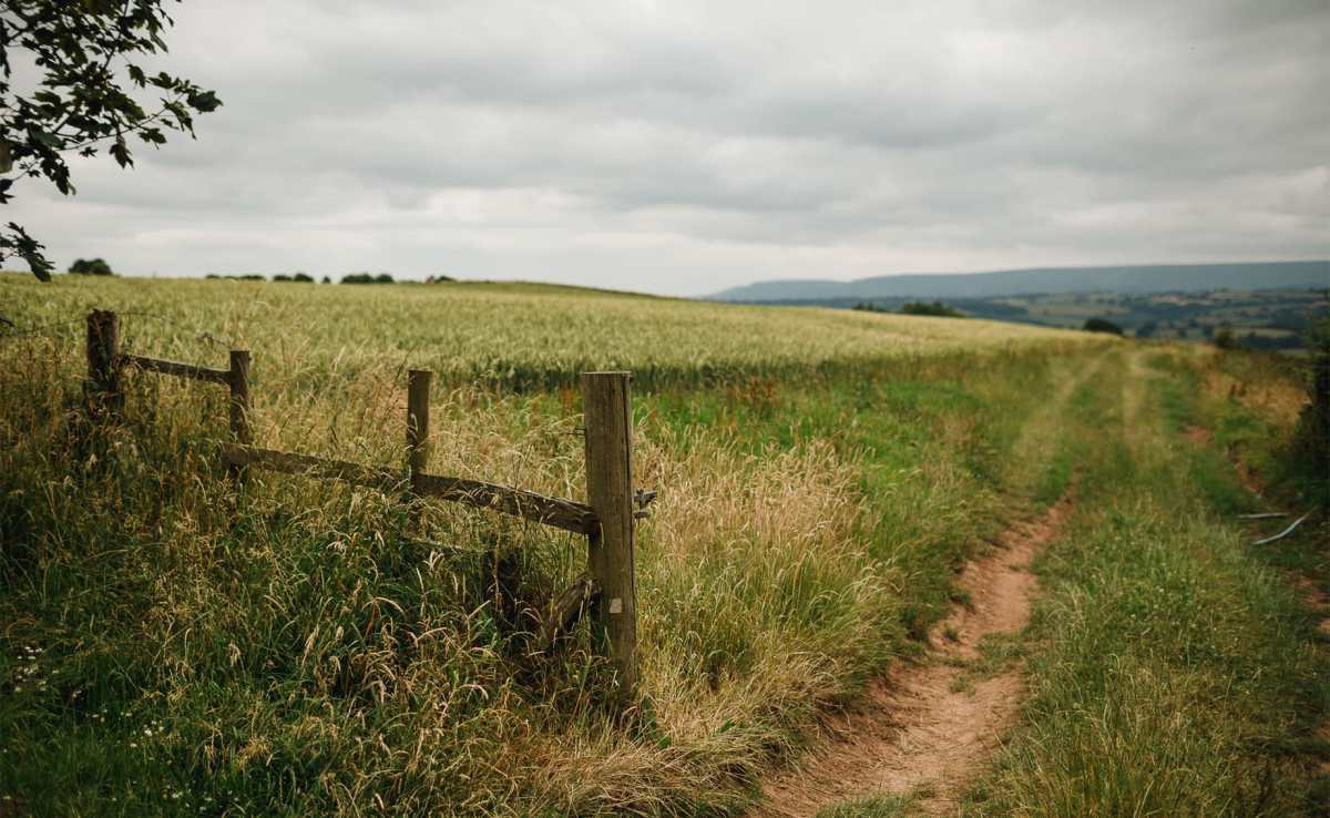 Agriculture and Aesthetics – Aesthetics Research Lab